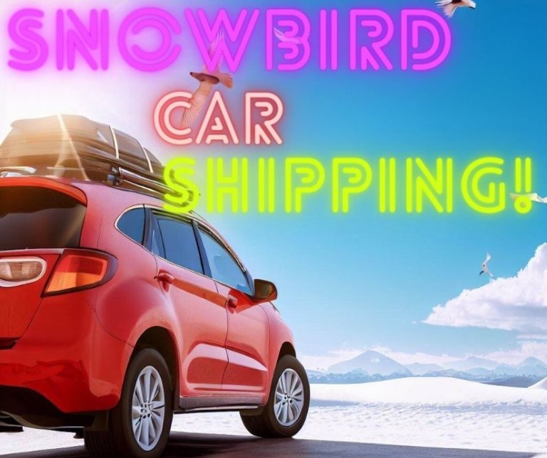Snowbird Auto Transport | The Ultimate Guide to Ship Your Car